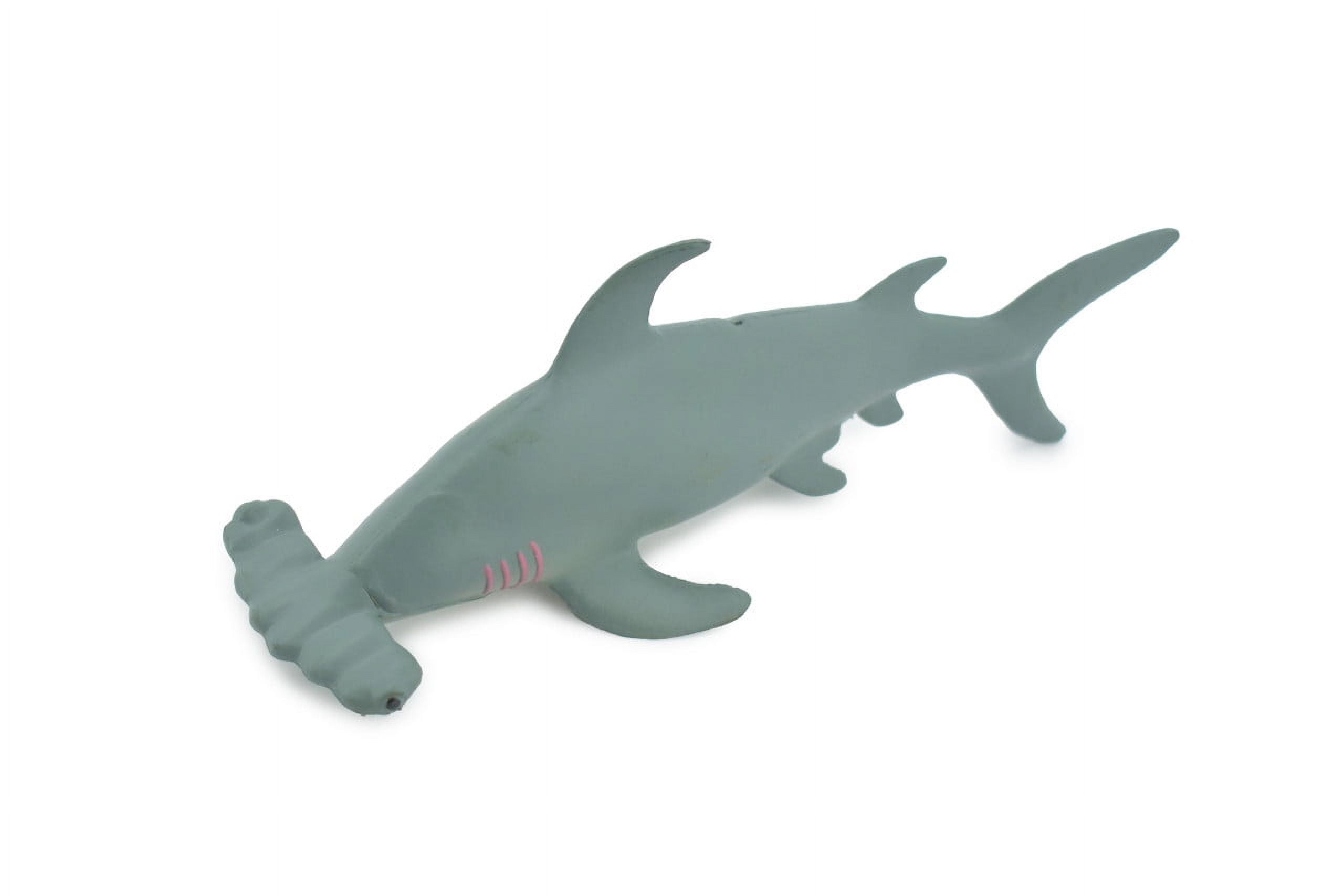 Shark, Scalloped Hammerhead Shark, High Quality, Hand Painted ...