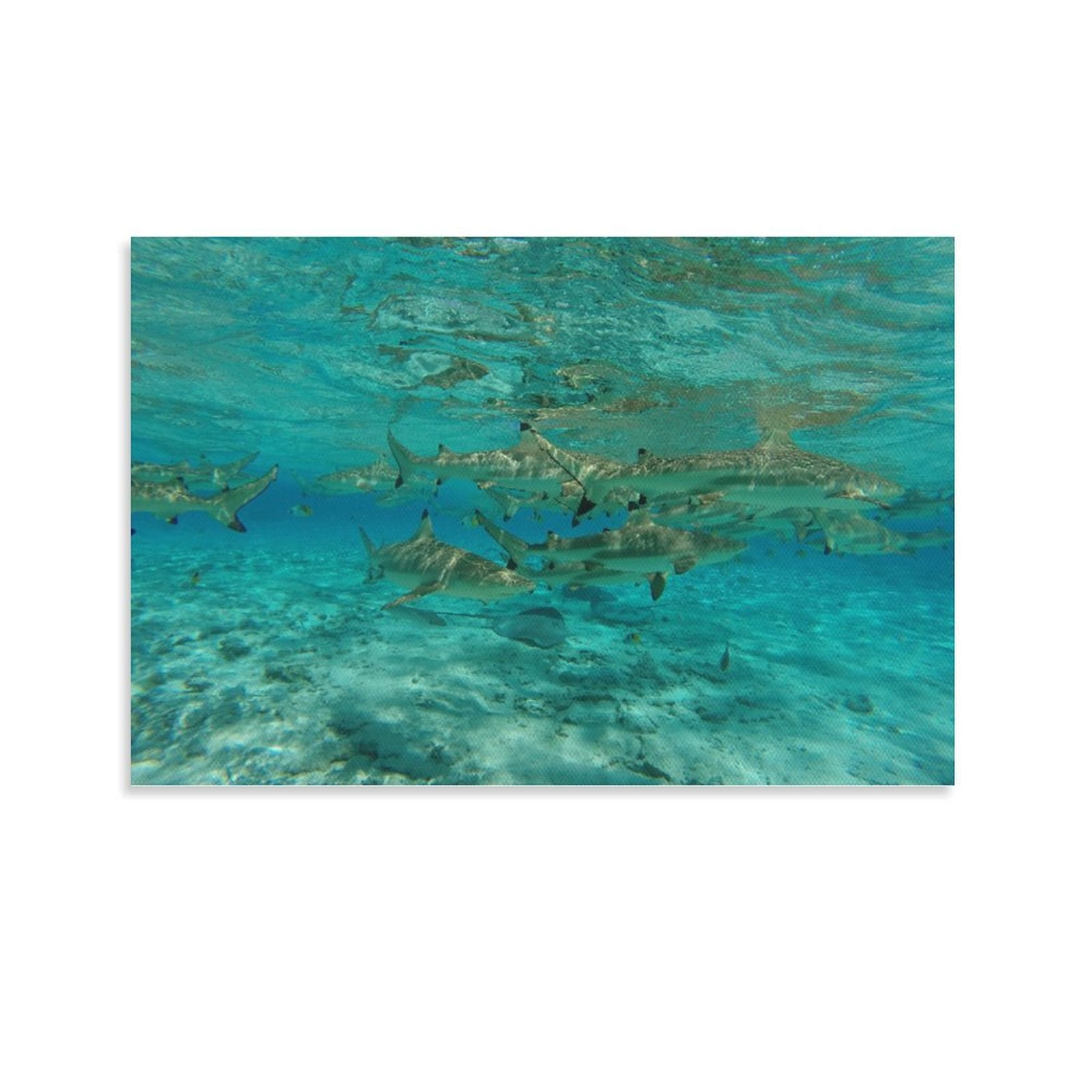 Shark Sea Water Stingray Poster Decorative Painting Canvas Wall Art ...