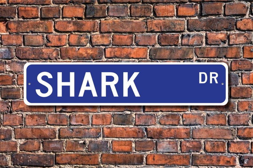 Shark Shark Gift Shark Sign Shark decor Shark lover hammerhead great ...
