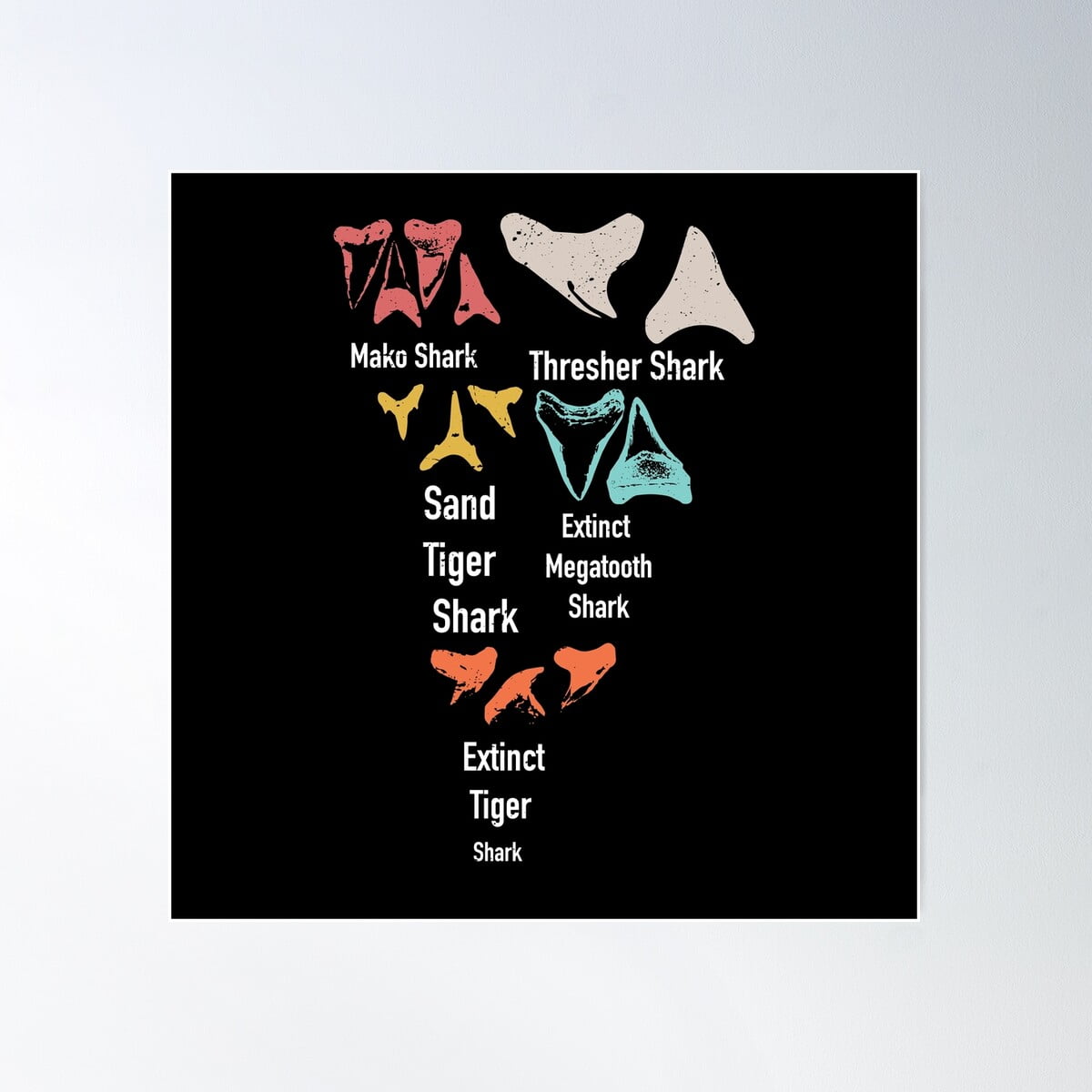 Shark Teeth Hunting Identity / Shark Teeth Collector Design / Tooth ...