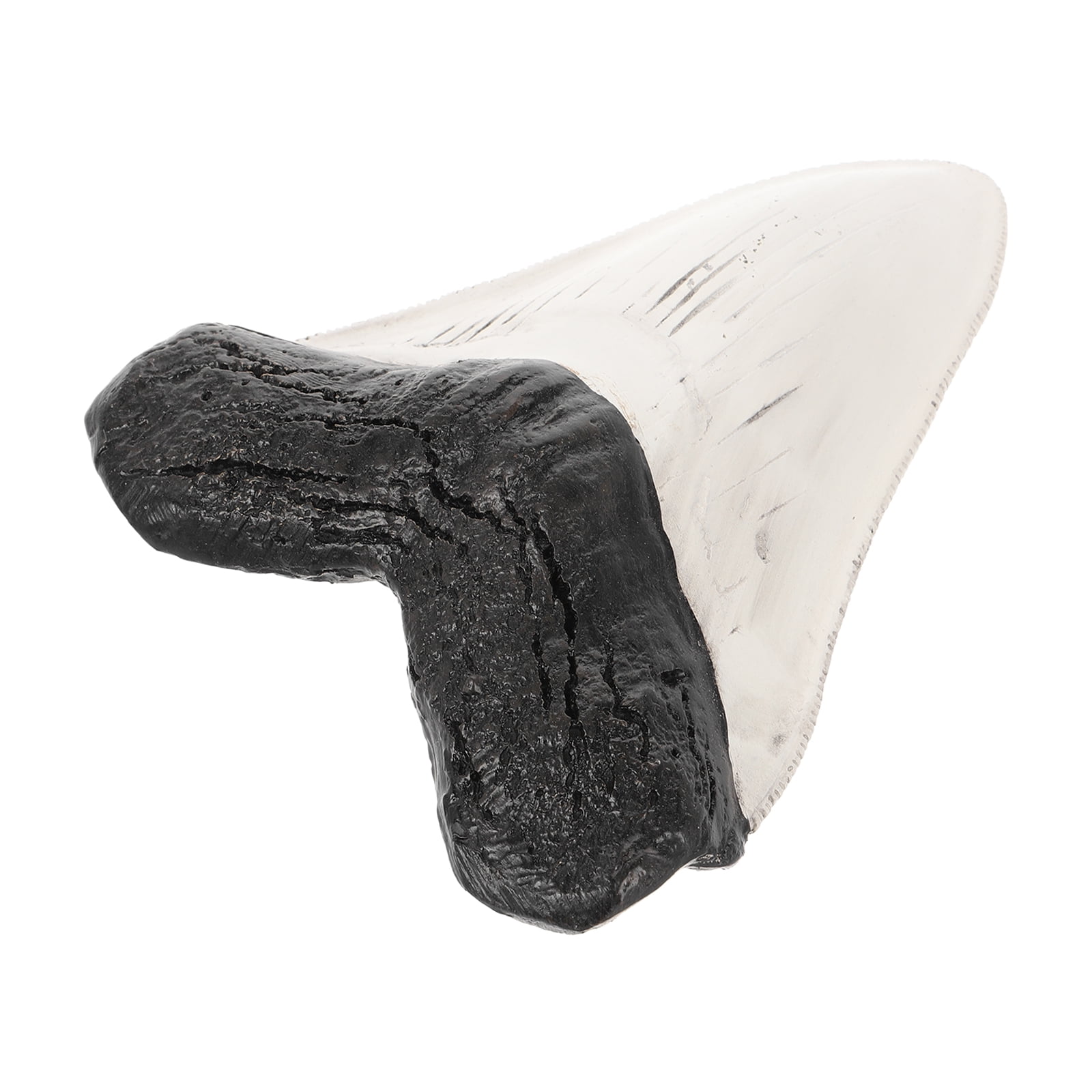 Shark Teeth Ornaments Animal Characters Handcraft Decoration Model ...