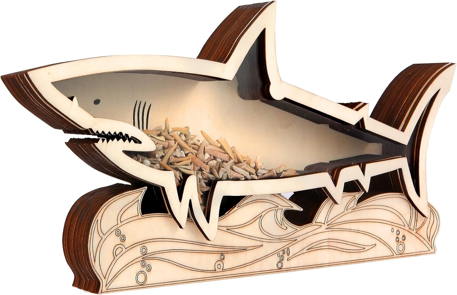 Shark Tooth Display Case 14 Inch Wooden – Large Shark Tooth Holder for ...