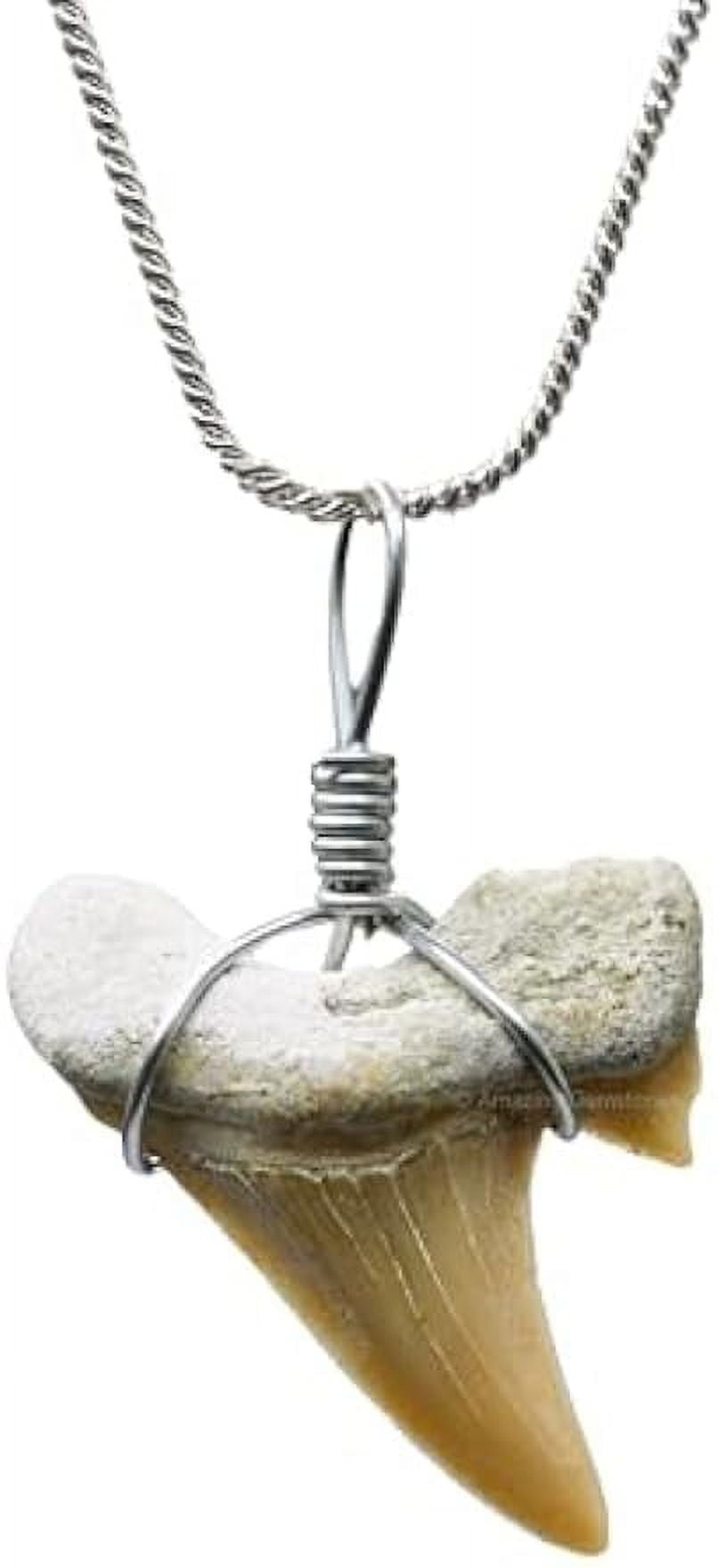 Shark Tooth Necklace - Unisex Fossil Necklace with Shark Teeth - Ideal ...