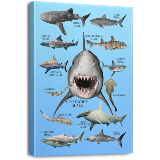 Shark Wall Art Shark Wall Decor for Living Room Home - Walmart.com