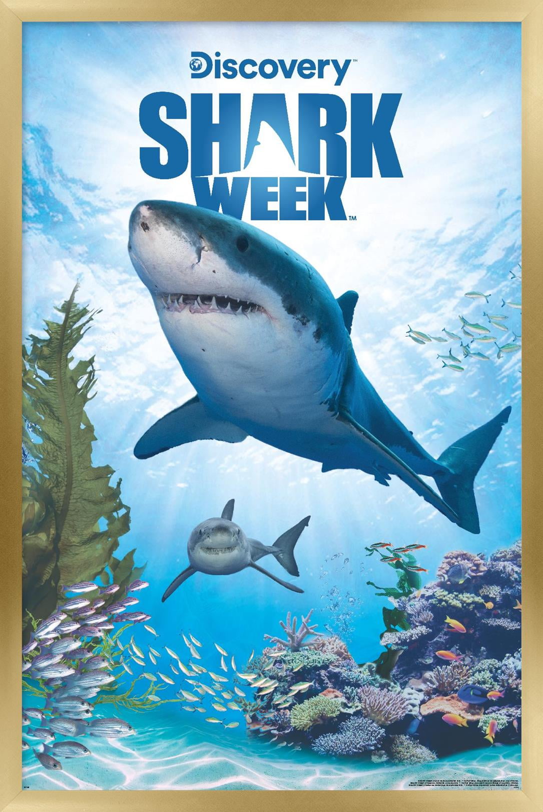 Shark Week - Shark Adventure Wall Poster, 22.375" x 34" Framed ...