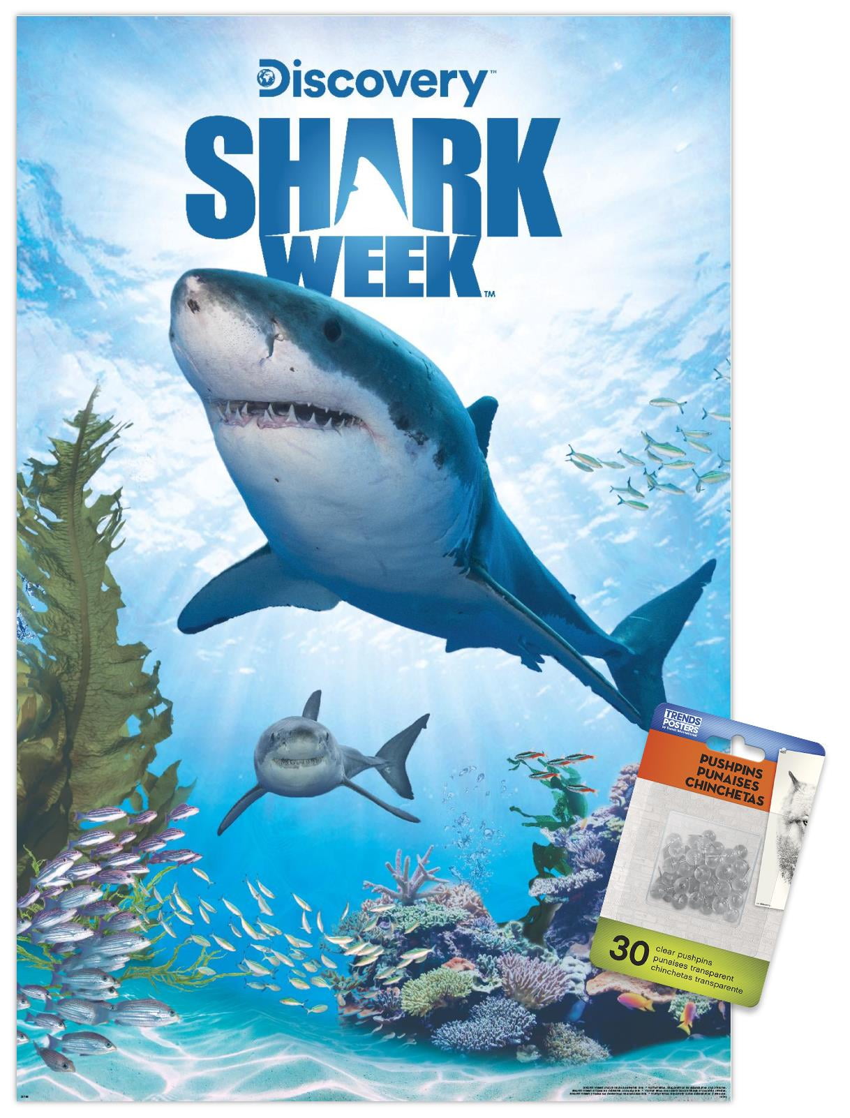 Shark Week - Shark Adventure Wall Poster with Push Pins, 14.725" x 22. ...