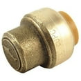 SharkBite 1/2-Inch End Cap, Push-to-Connect, PEX, Copper, CPVC ...