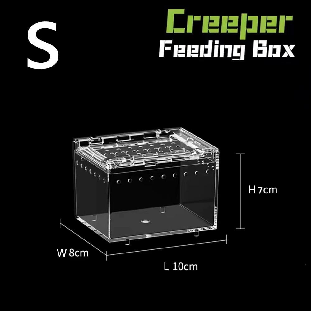 SharkTRUE Tarantula Enclosure, Plastic Terrarium, Reptile breeding box ...