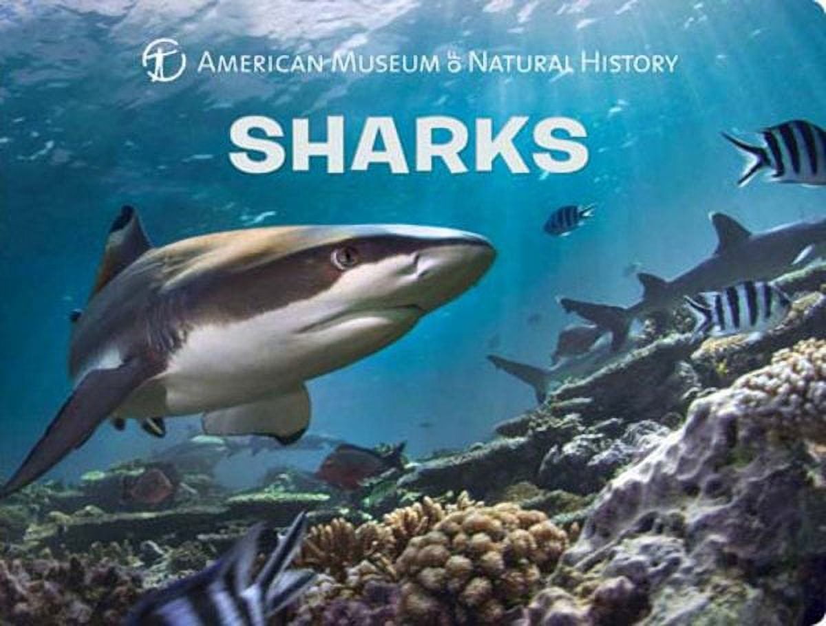 Sharks (Board Book) - Walmart.com