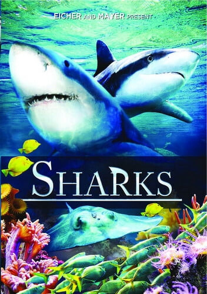 Sharks (DVD), Vision Video, Special Interests - Walmart.com