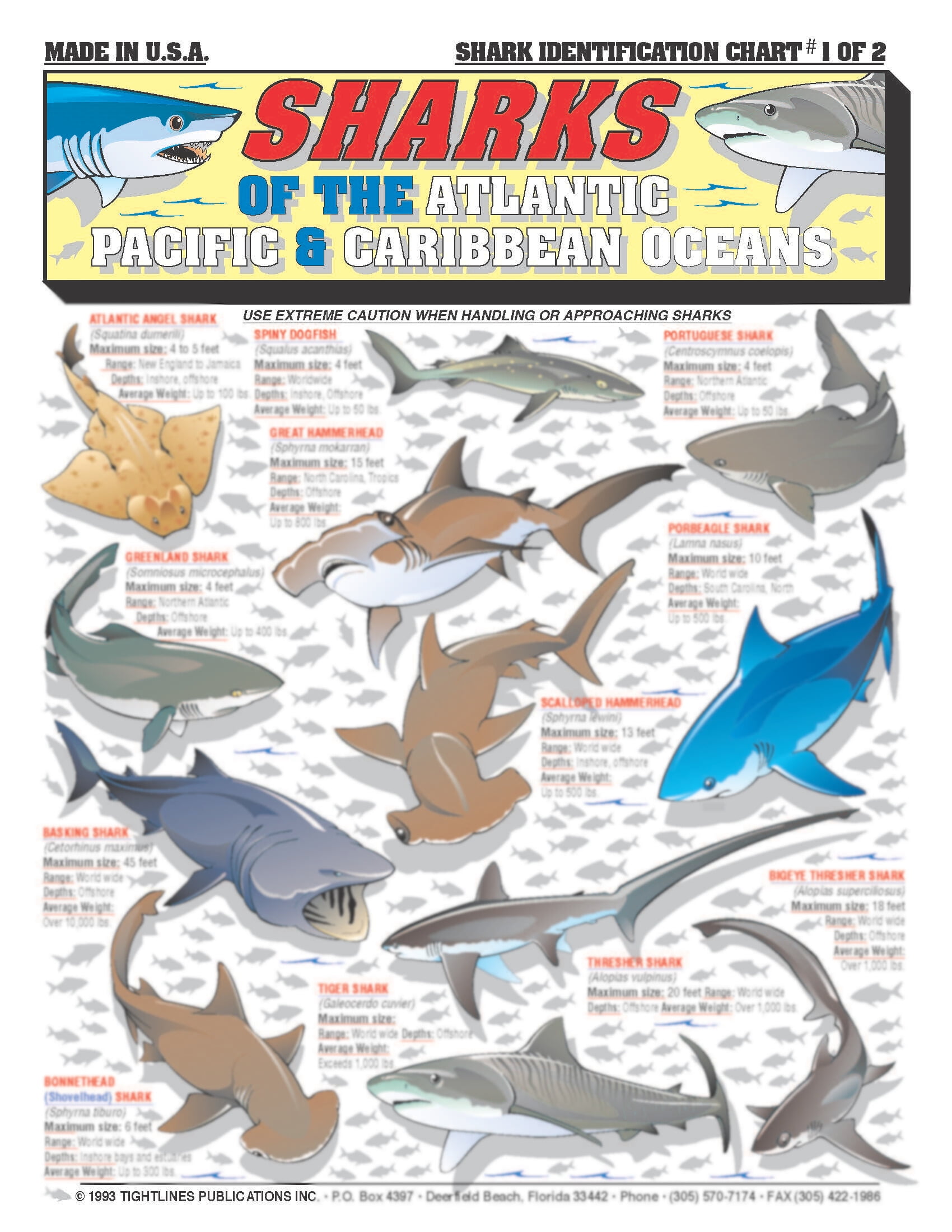 Sharks Identification #1 (Atlantic, Pacific, and Caribbean Oceans ...