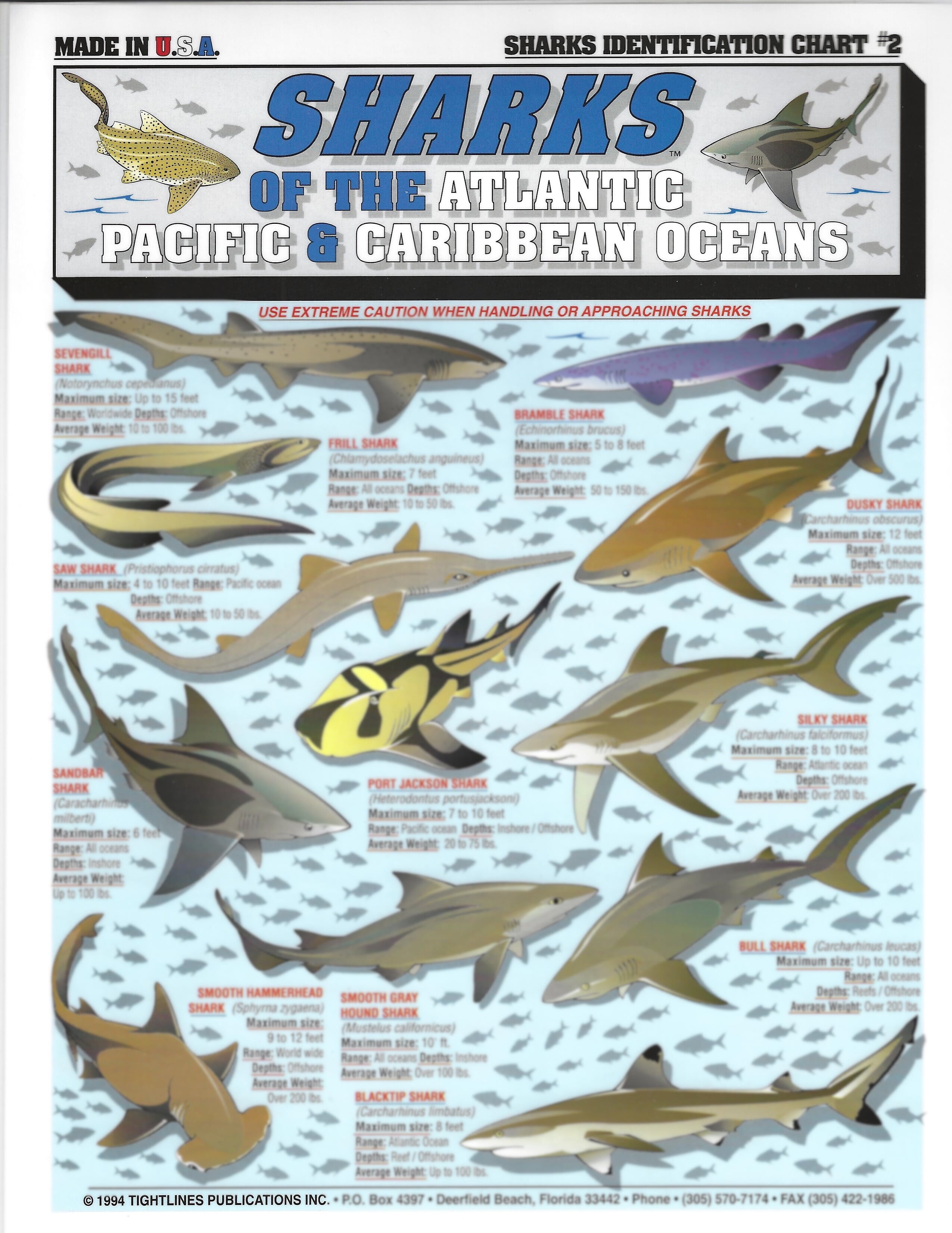 Sharks Identification #2 (Atlantic, Pacific, and Caribbean Oceans) - Waterproof Quick Reference ...