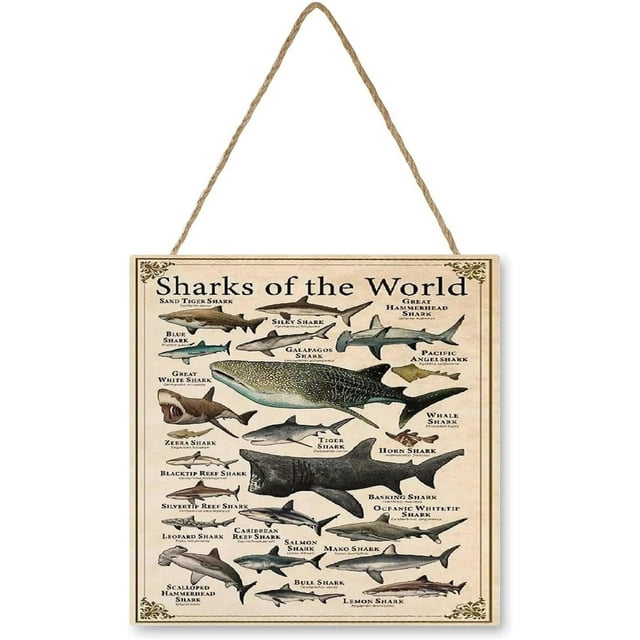 Sharks Of The World Wood Signs Shark Types Knowledge Posters Shark ...