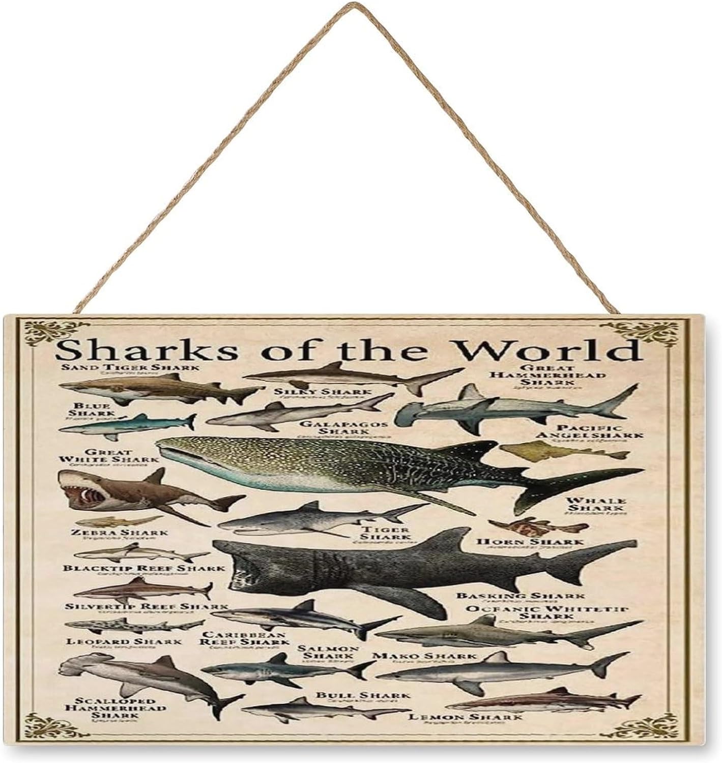 Sharks Of The World Wood Signs Shark Types Knowledge Posters Shark ...