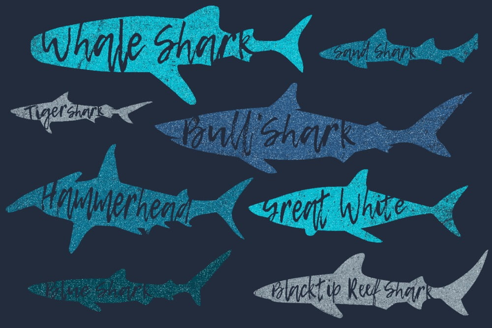 Sharks Pattern, Shark Names, Navy Background (12x18 Wall Art Poster ...