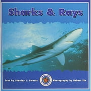 Sharks Rays