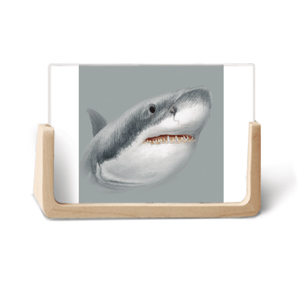 Sharks Roam Ocean Hunt Art Deco Fashion Photo Wooden Photo Frame ...