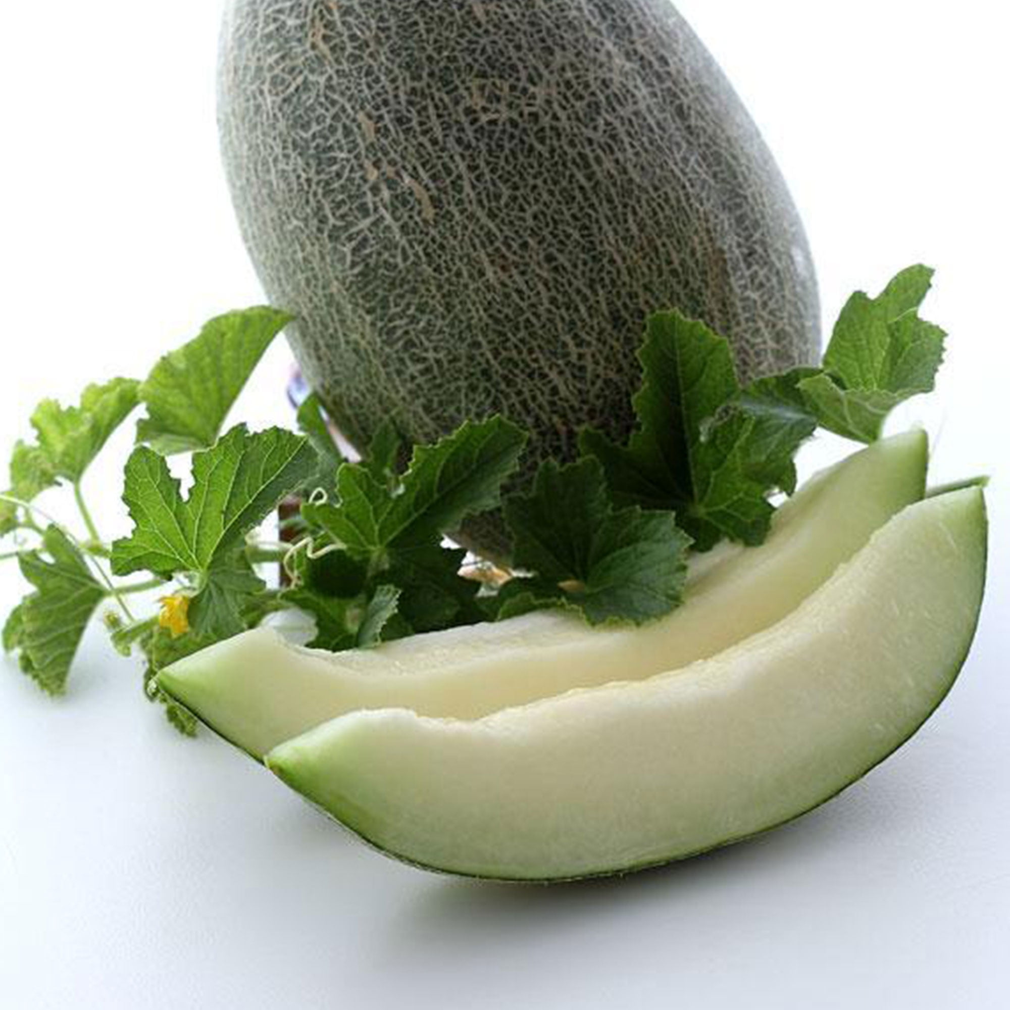 Sharlyn Melon Seed - 1 g ~35 Seeds - Heirloom, Open Pollinated, Non-GMO ...