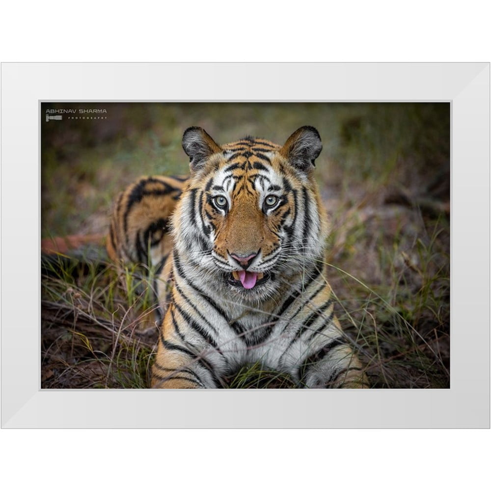 Sharma, Abhinav 14x11 White Modern Wood Framed Museum Art Print Titled ...
