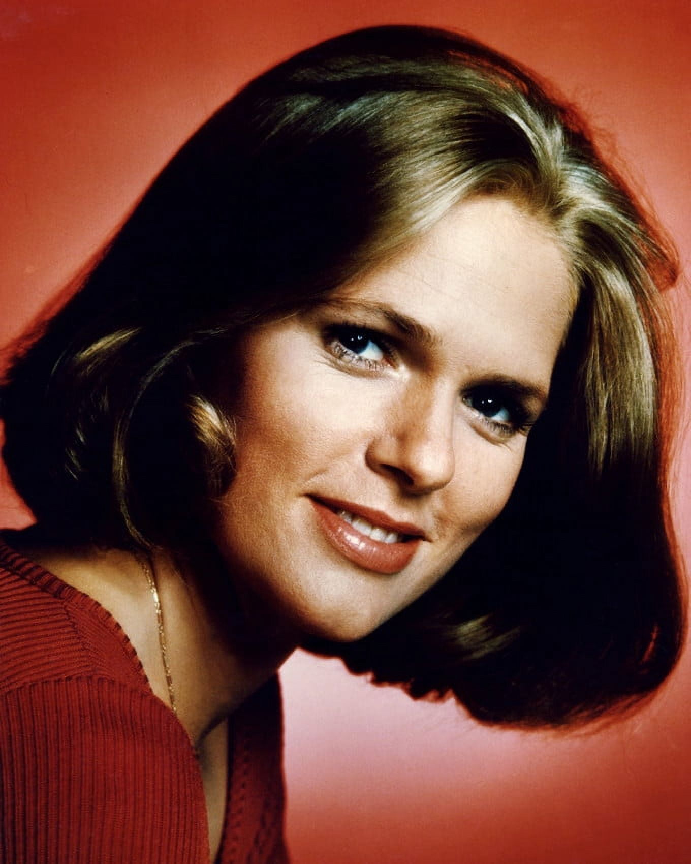 Sharon Gless 24X36 Classic Hollywood Poster 1970's Portrait Switch TV ...