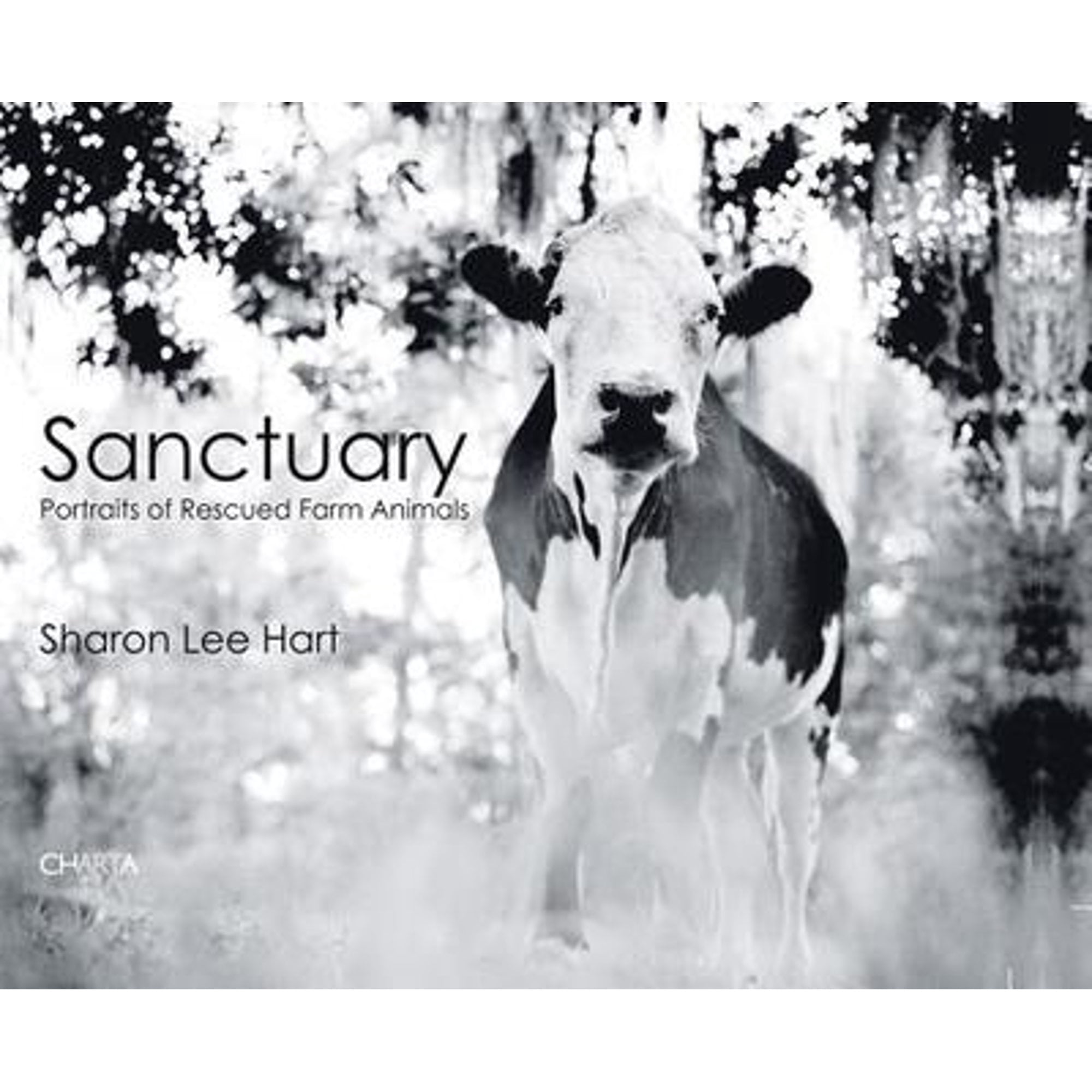 Pre-Owned Sharon Lee Hart: Sanctuary: Portraits of Rescued Farm Animals ...