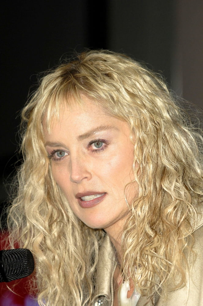 Sharon Stone At The Press Conference For Come Together Now Hurricane ...