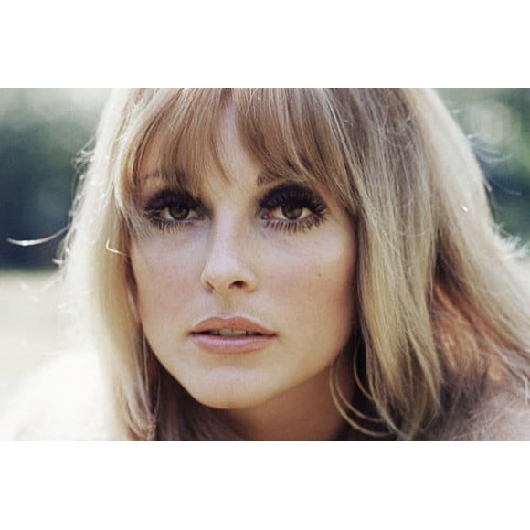 Sharon Tate Photo