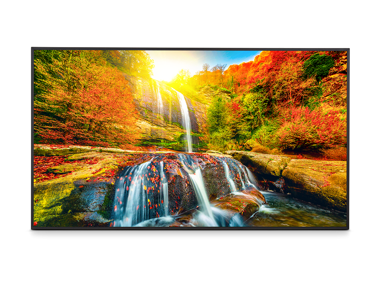 Sharp MultiSync PN-ME652 - Walmart.com