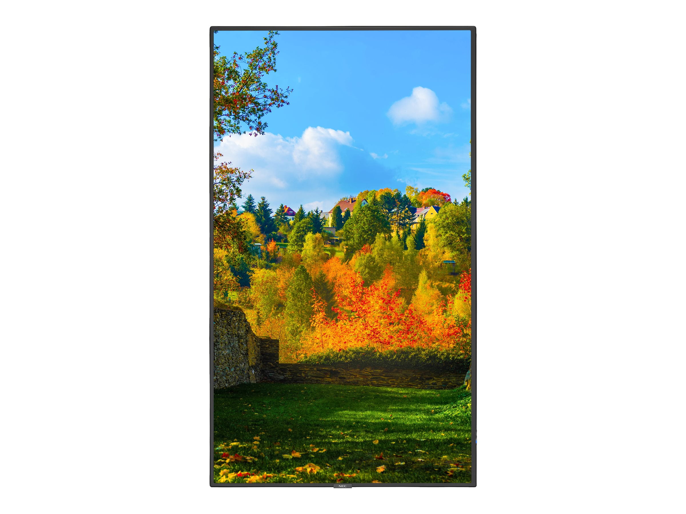 NEC MultiSync M551-PT - 55" Diagonal Class M Series LED-backlit LCD ...