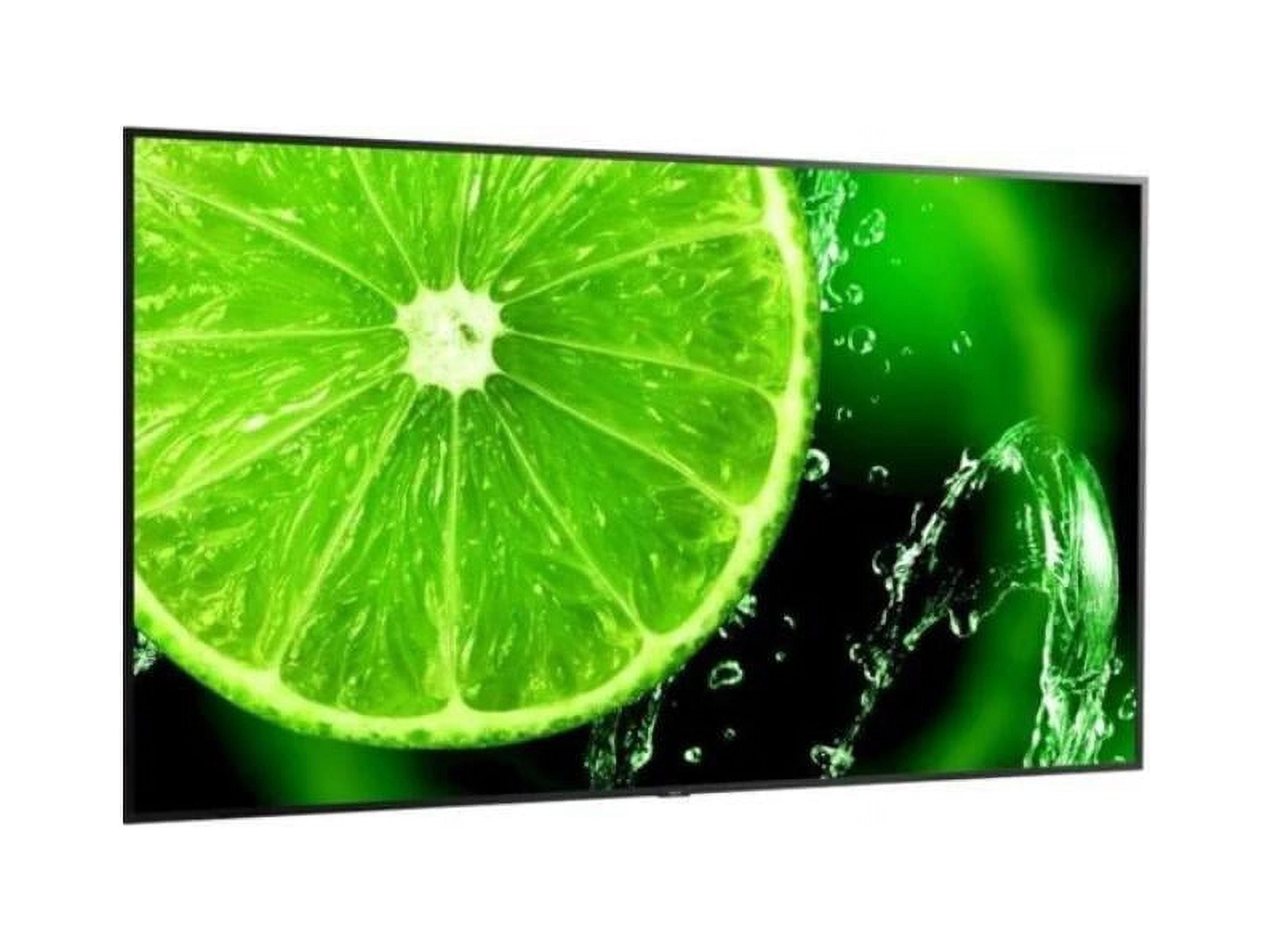 Sharp NEC Monitor 75" Ultra High Definition Professional Monitor - 75 ...