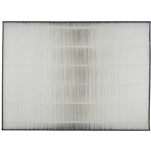 Sharp Active Carbon Replacement Filter for FPA60UW / FPA80UW Air ...