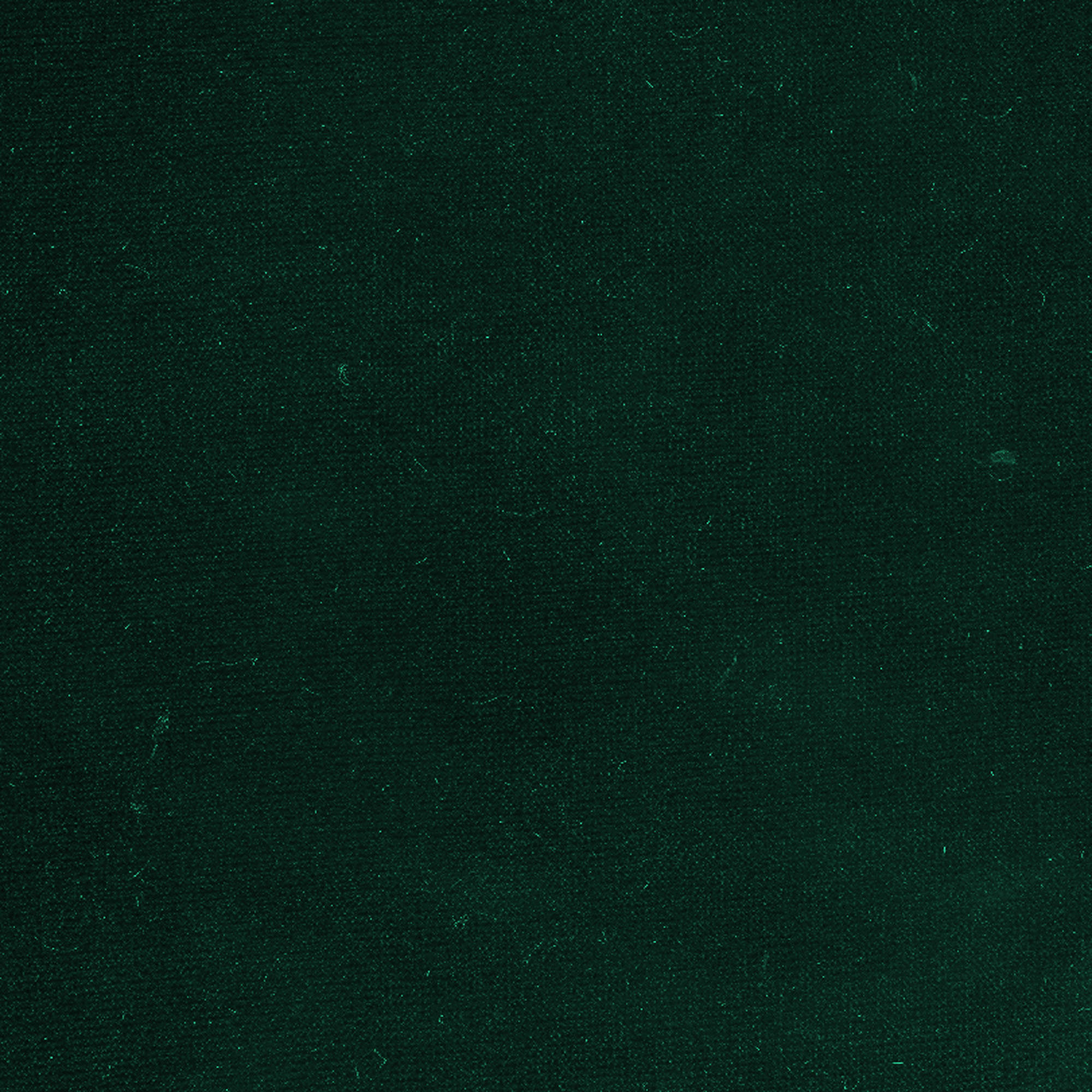 Shason Textile Velvety Velour Solid Fabric, Available in Multiple ...