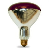 Shat-R-Shield 01713I Incandescent 250W Red Heat Lamp - Walmart.com