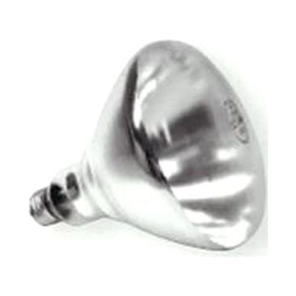 Shat-R-Shield 250W R40 Bulb, Medium Screw (E26), Shatter-Resistant ...