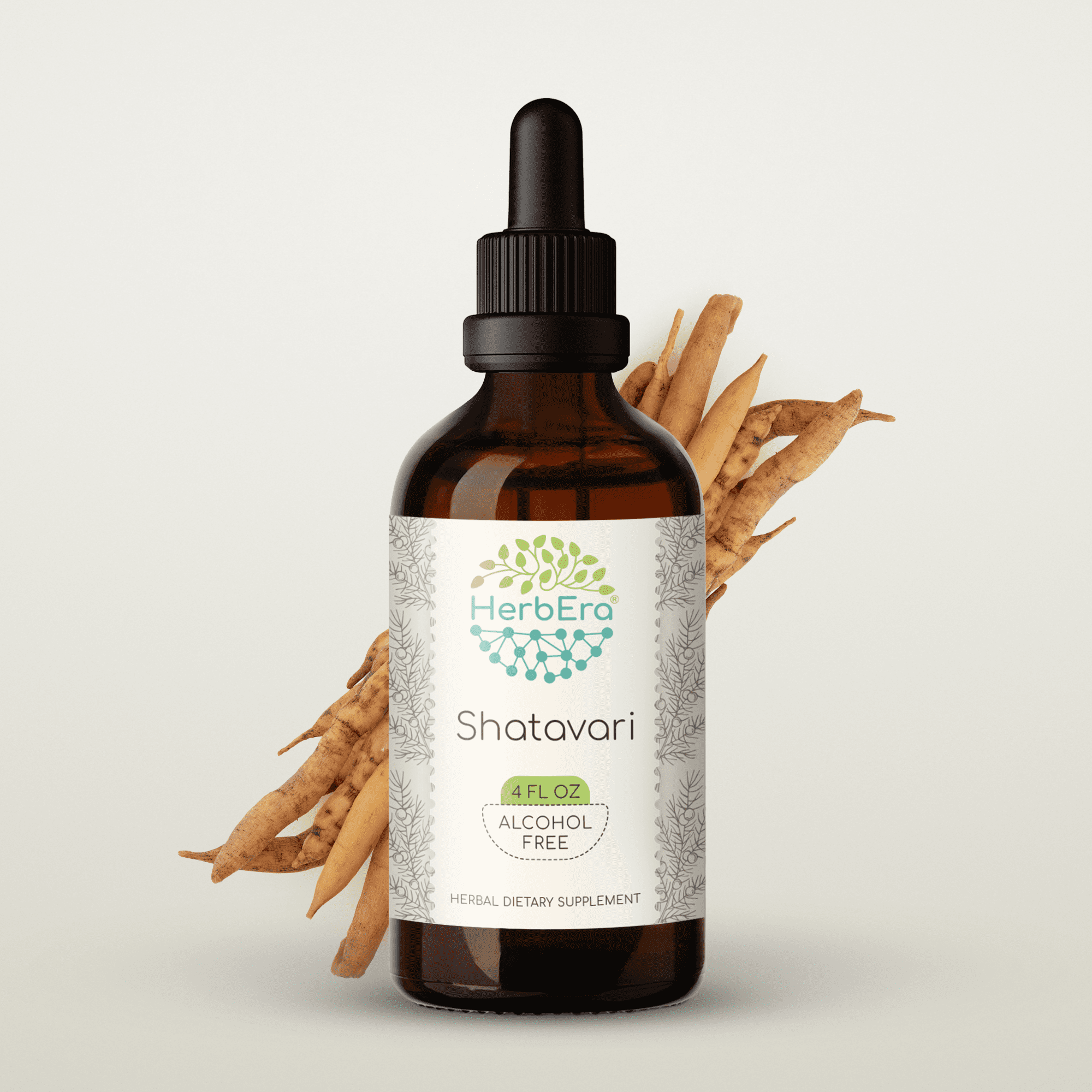 Shatavari Alcohol-FREE Herbal Extract Tincture, Super-Concentrated ...