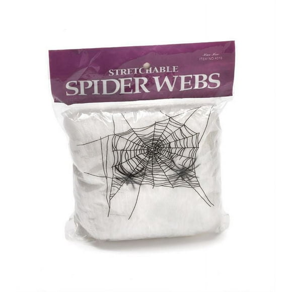 Spider Web Decor