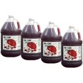 Shave Ice Syrup-case-4 Gallons - Walmart.com