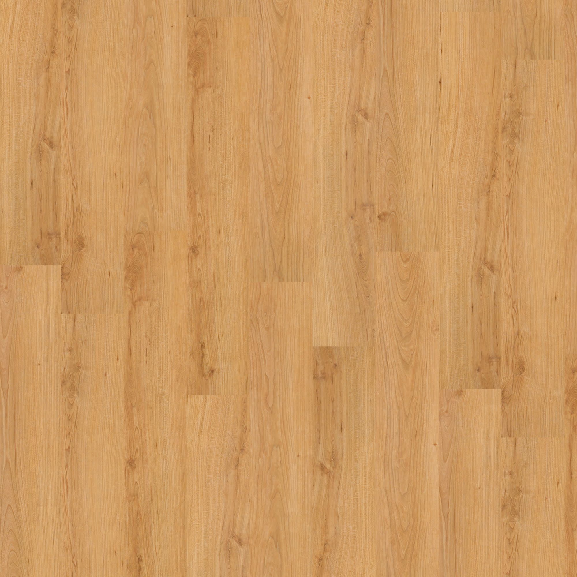 Spring Tundra 6 in. x 36 in. Rigid Core Luxury Vinyl Plank Flooring (11 ...