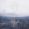 Shawn Mendes - Wonder - Music & Performance - Vinyl - Walmart.com