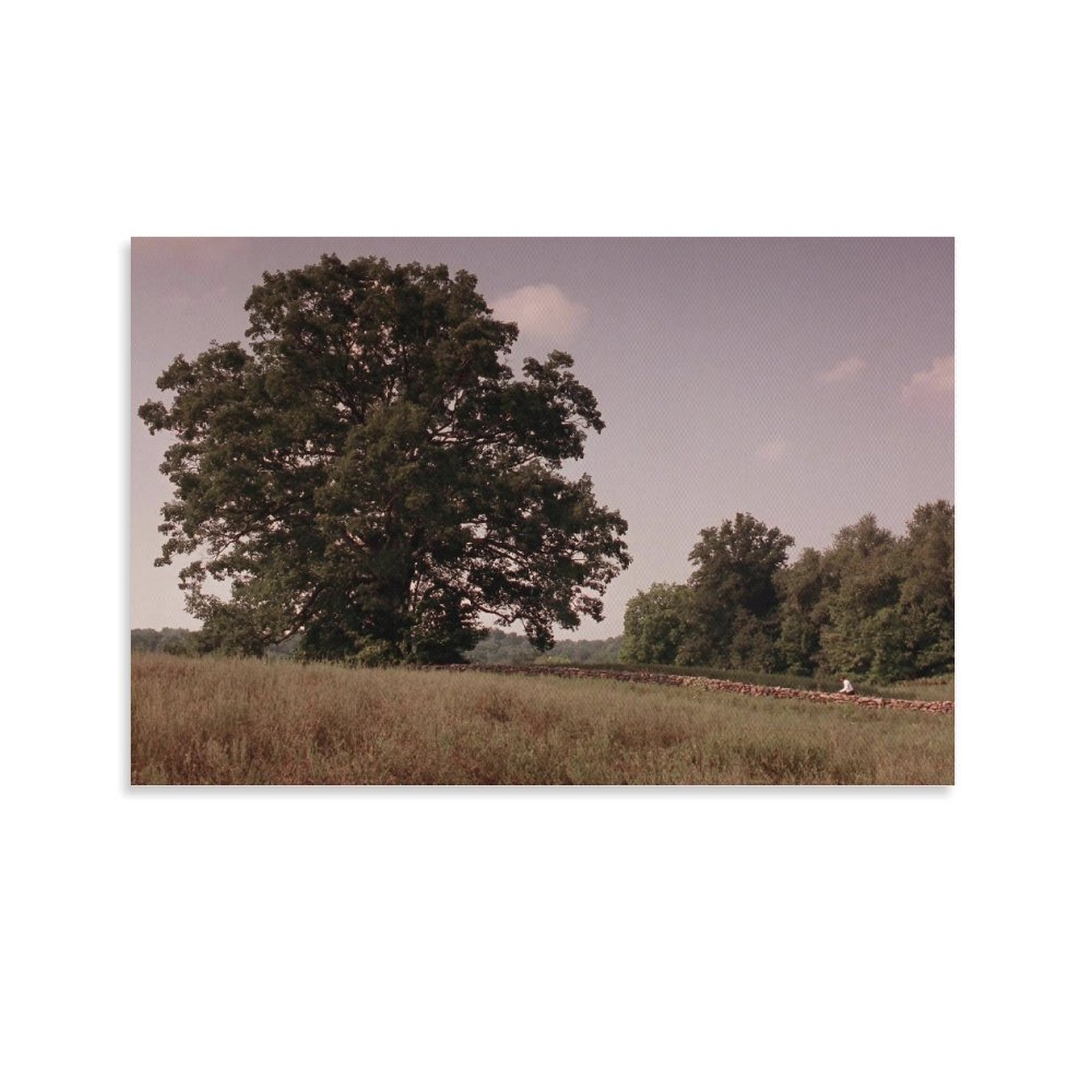 The Shawshank Redemption Classic White Oak Movie Poster Artworks Canvas ...