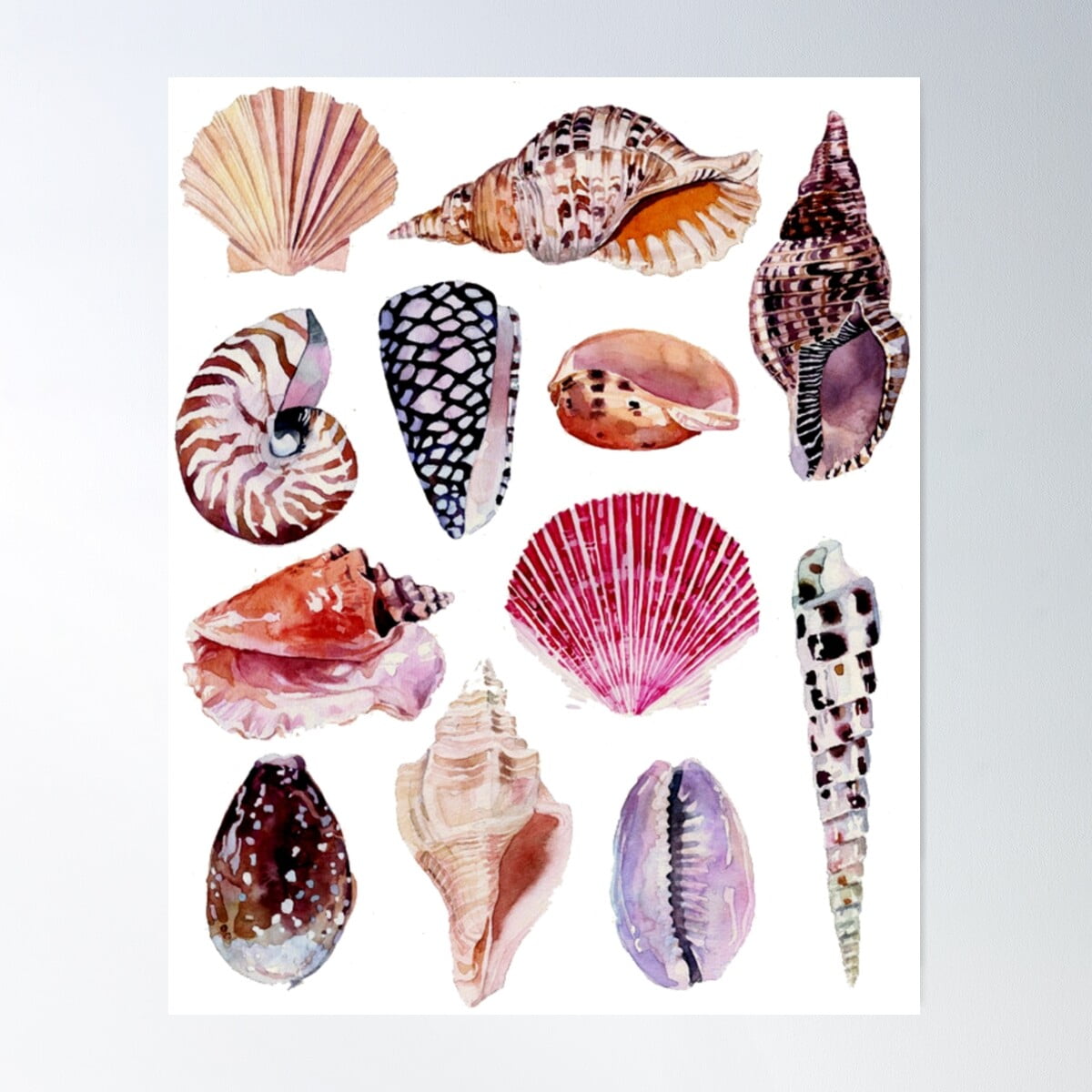 She Sells Sea Shells At The Sea Shore Poster Wall Art, Modern Wall ...