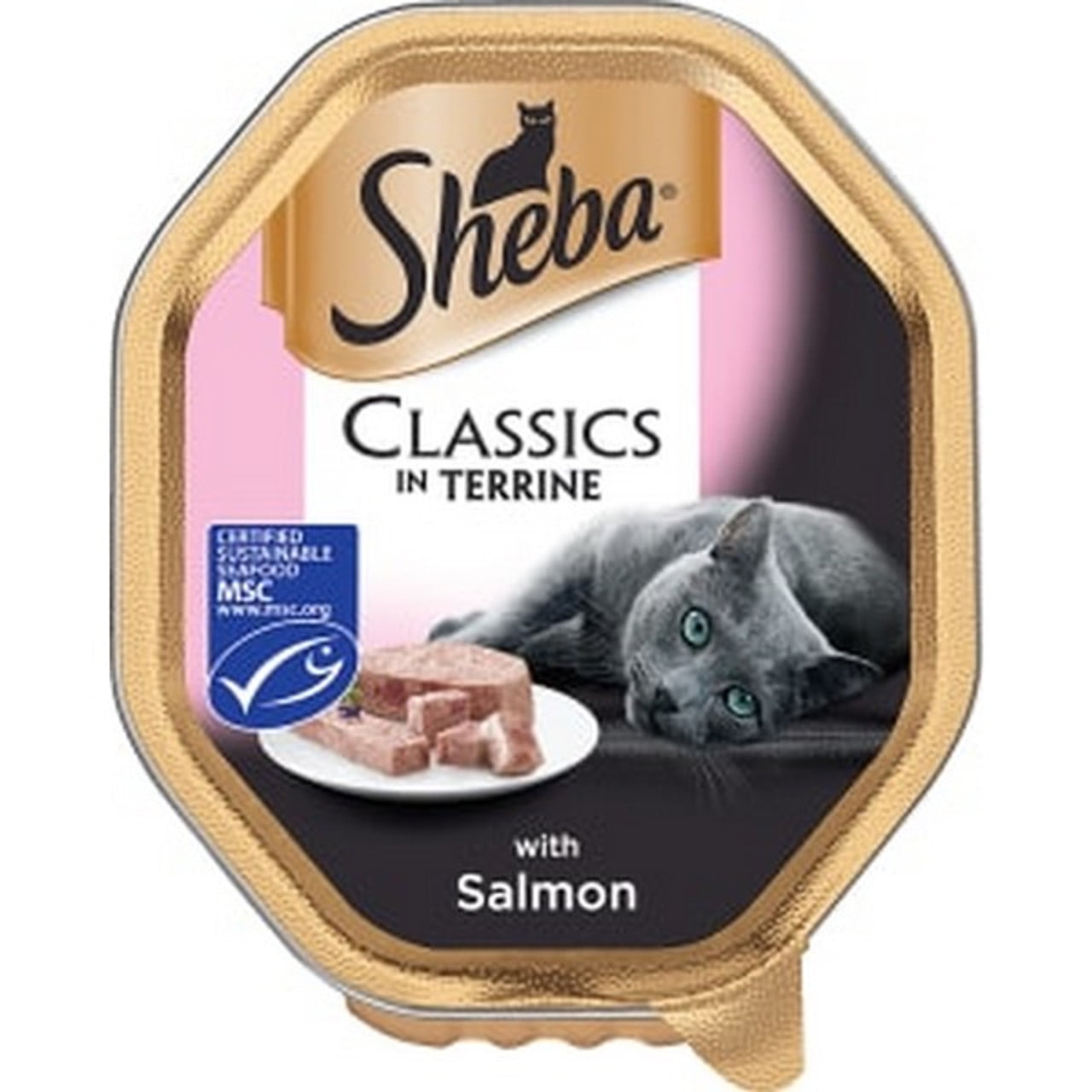 Sheba Classics Cat Tray with Salmon in Terrine Cat Food 85g 1 Case ...