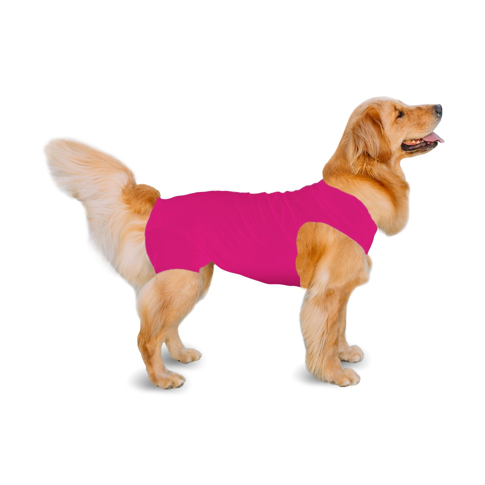 Shed Defender Recovery Suit for Dogs Cats, Seen on Shark Tank, Post ...