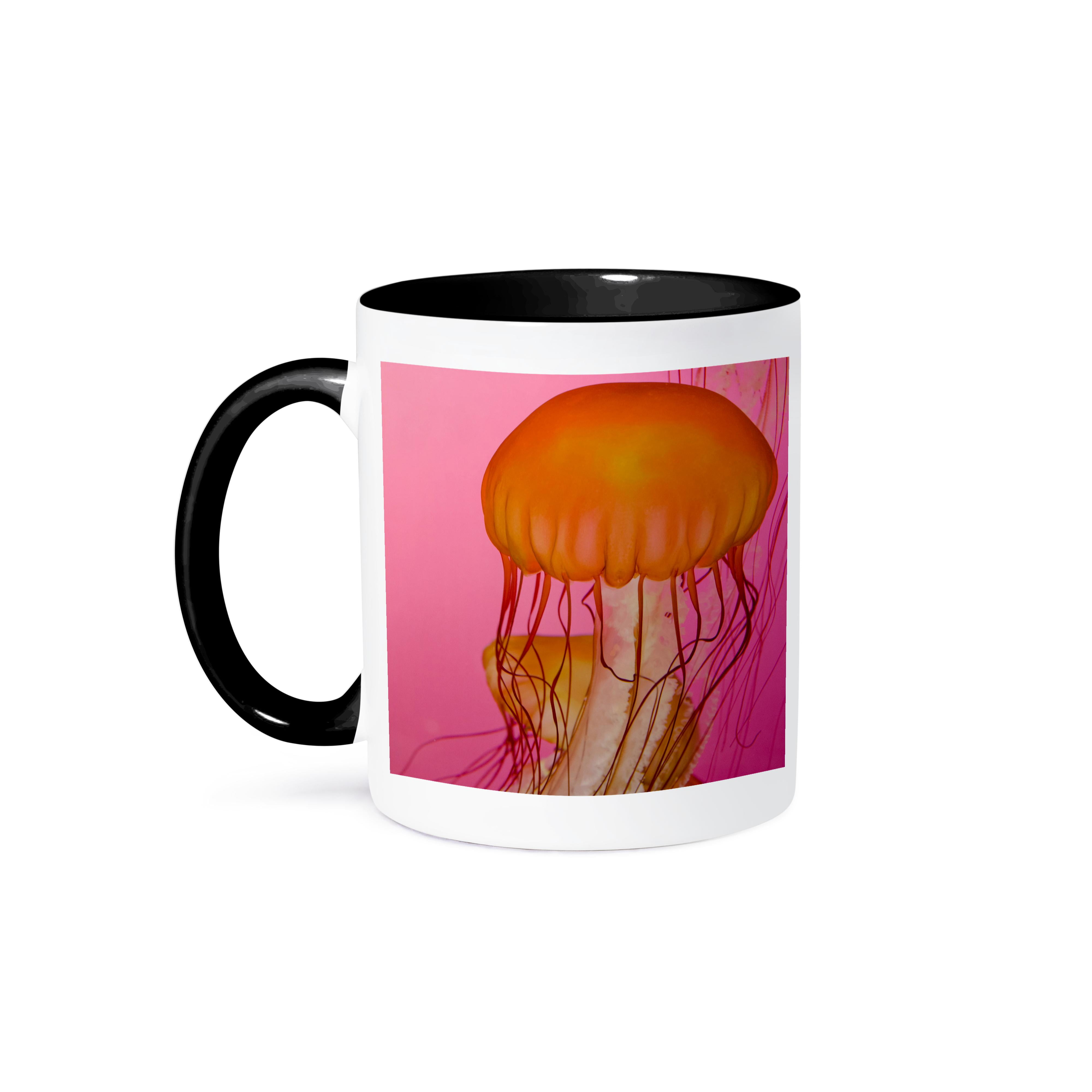 3dRose, Shedd Aquarium, Chicago, Illinois, USA - US14 CMI0008 - Cindy ...