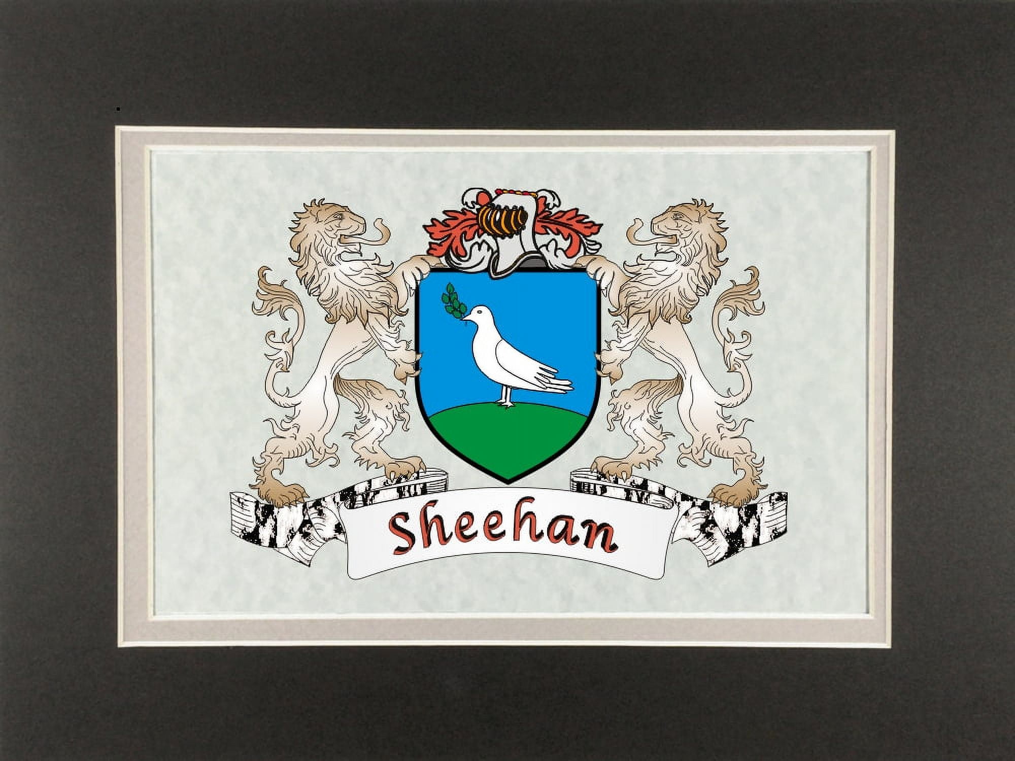 Sheehan Irish Coat of Arms Print - Frameable 9" x 12" - Walmart.com
