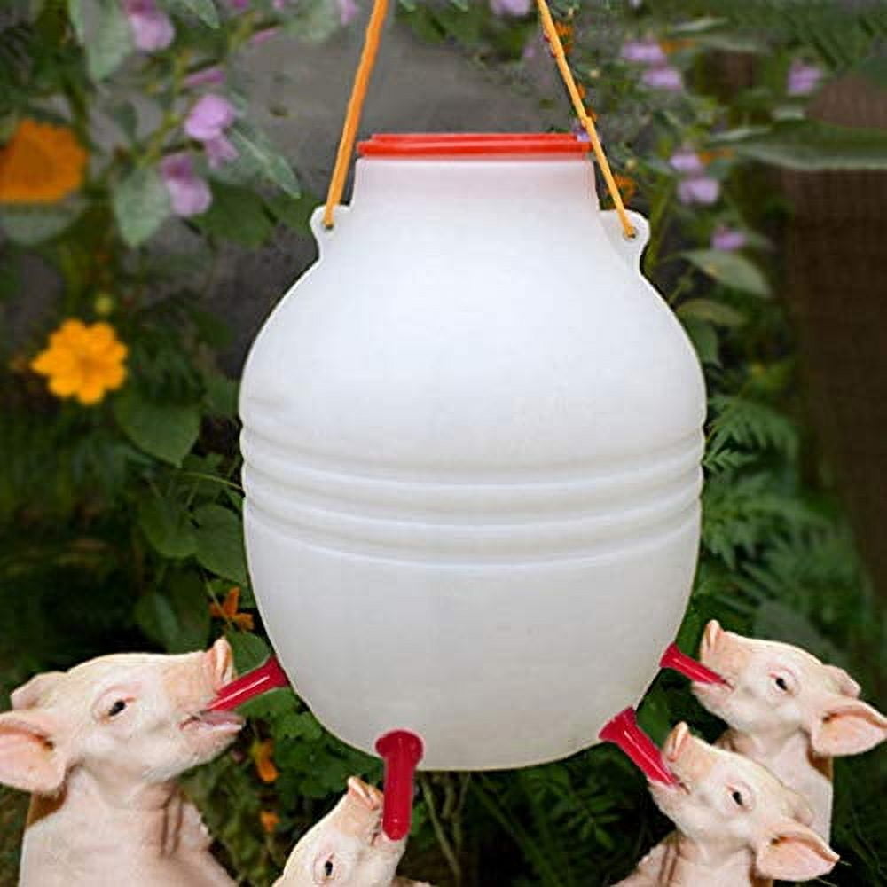 Sheep Feeder Poultry Feeding Bottle Lamb Milk Bucket Lamb Feeding ...