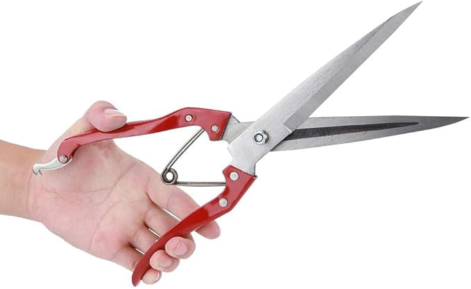Sheep Shear, Sheep Scissor, Professional Stainless Steel Safety Sheep ...