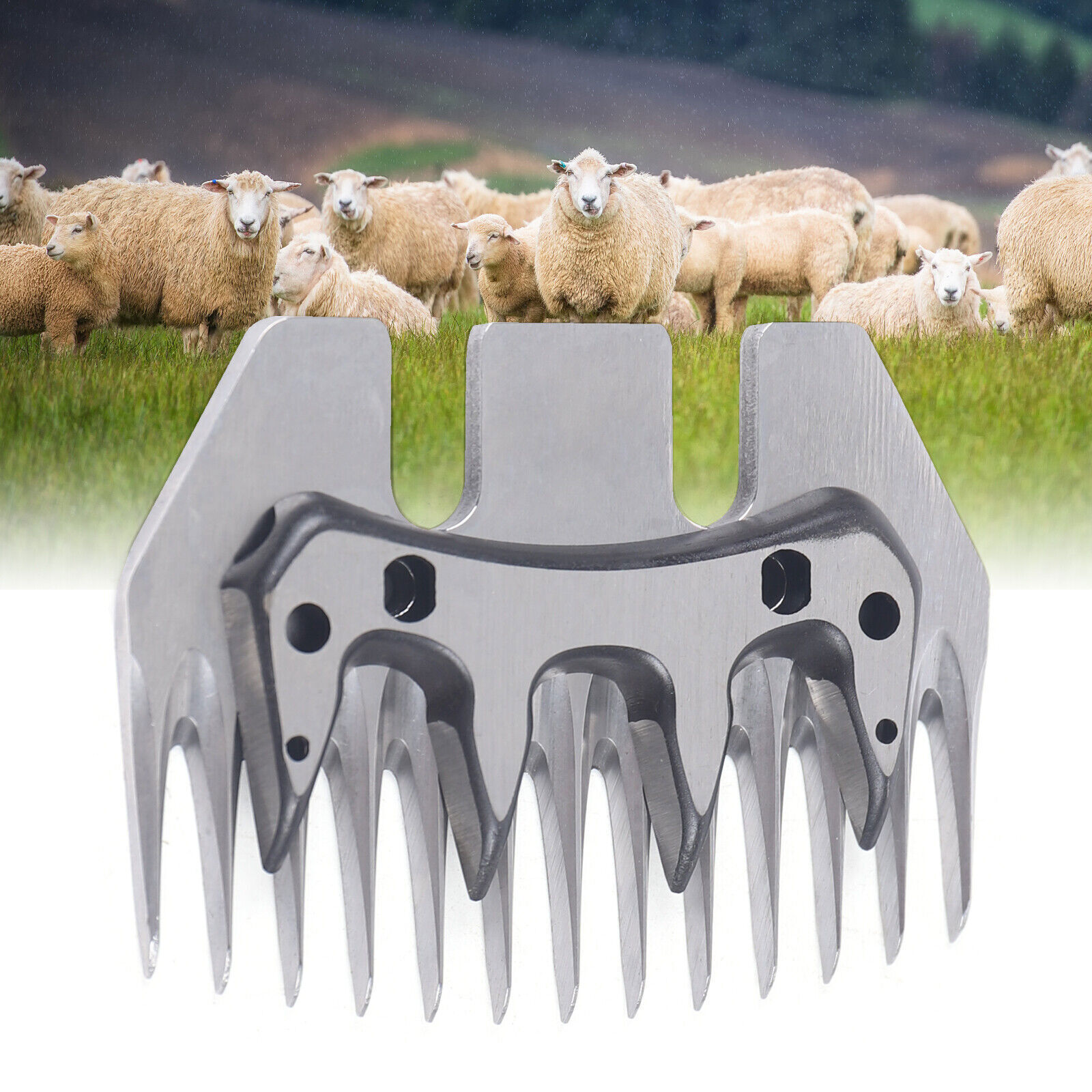 Sheep Shears Blades 13 Tooth Goat Shearing Sheep Wool Comb Cutter ...