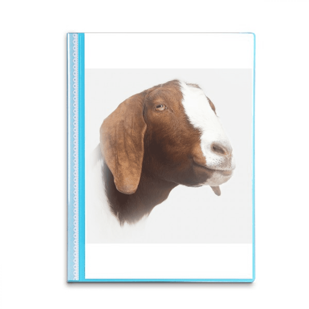 Sheep Side Eyes Ears Art Deco Fashion Book Sheet Protectors Portfolio ...