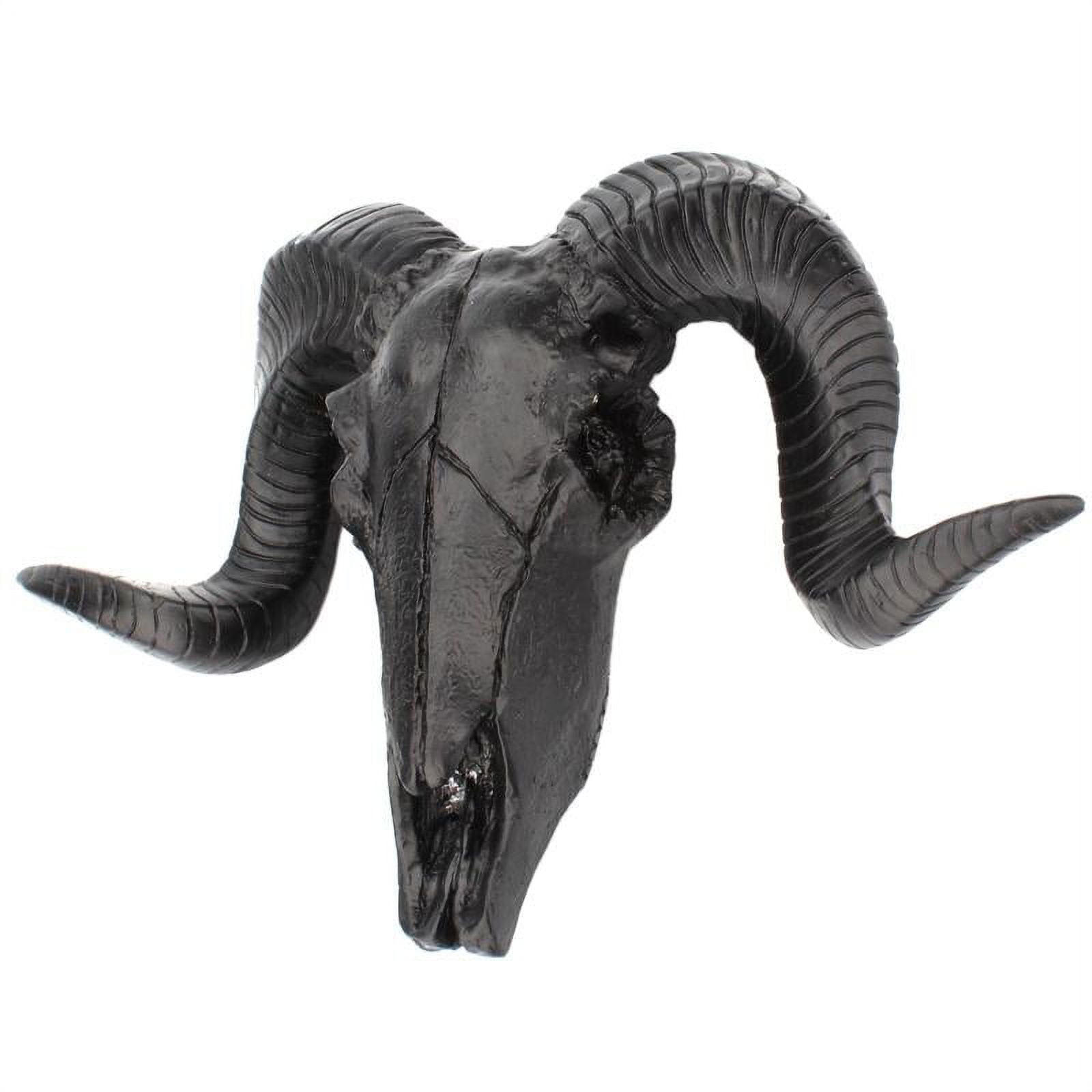 Sheep Skull Head Wall Hanging Mounted Sculpture Curled Wall Art ...